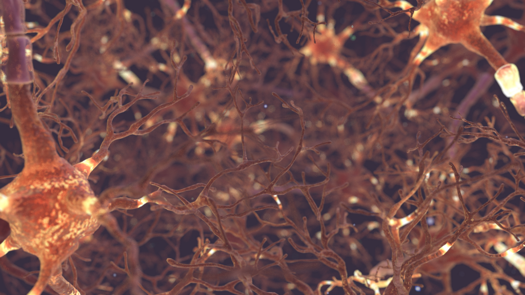 York Instruments Ltd - Jon Baugh